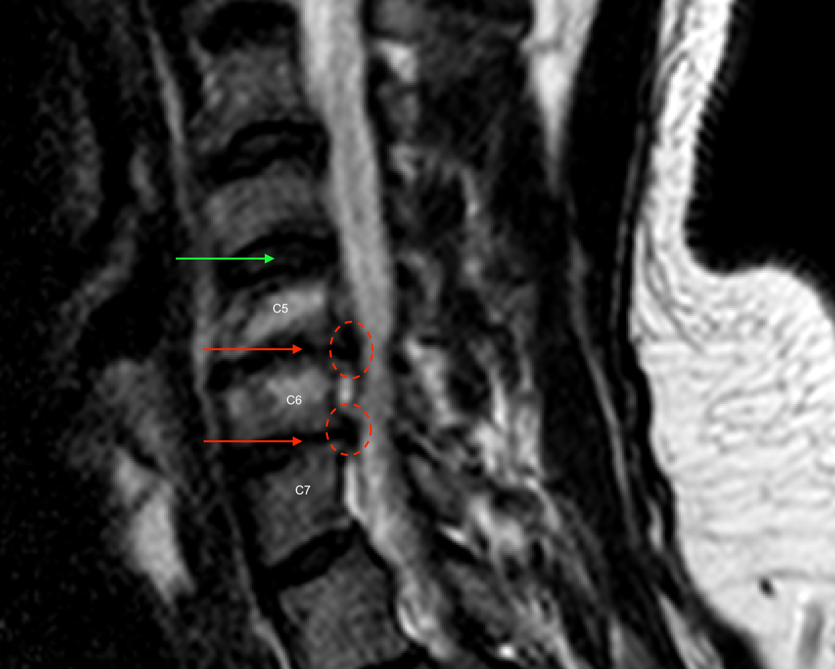 I’ve searched the world to find and use what I consider to be the best ...